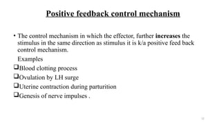 Homeostasis - fIRST YEAR , MBBS , BASIC CONCEPT , PHYSIOLOGY | PPTX