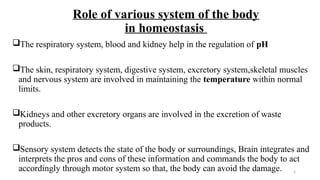 Homeostasis - fIRST YEAR , MBBS , BASIC CONCEPT , PHYSIOLOGY | PPTX