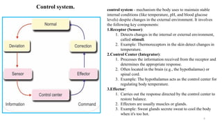 Homeostasis - fIRST YEAR , MBBS , BASIC CONCEPT , PHYSIOLOGY | PPTX