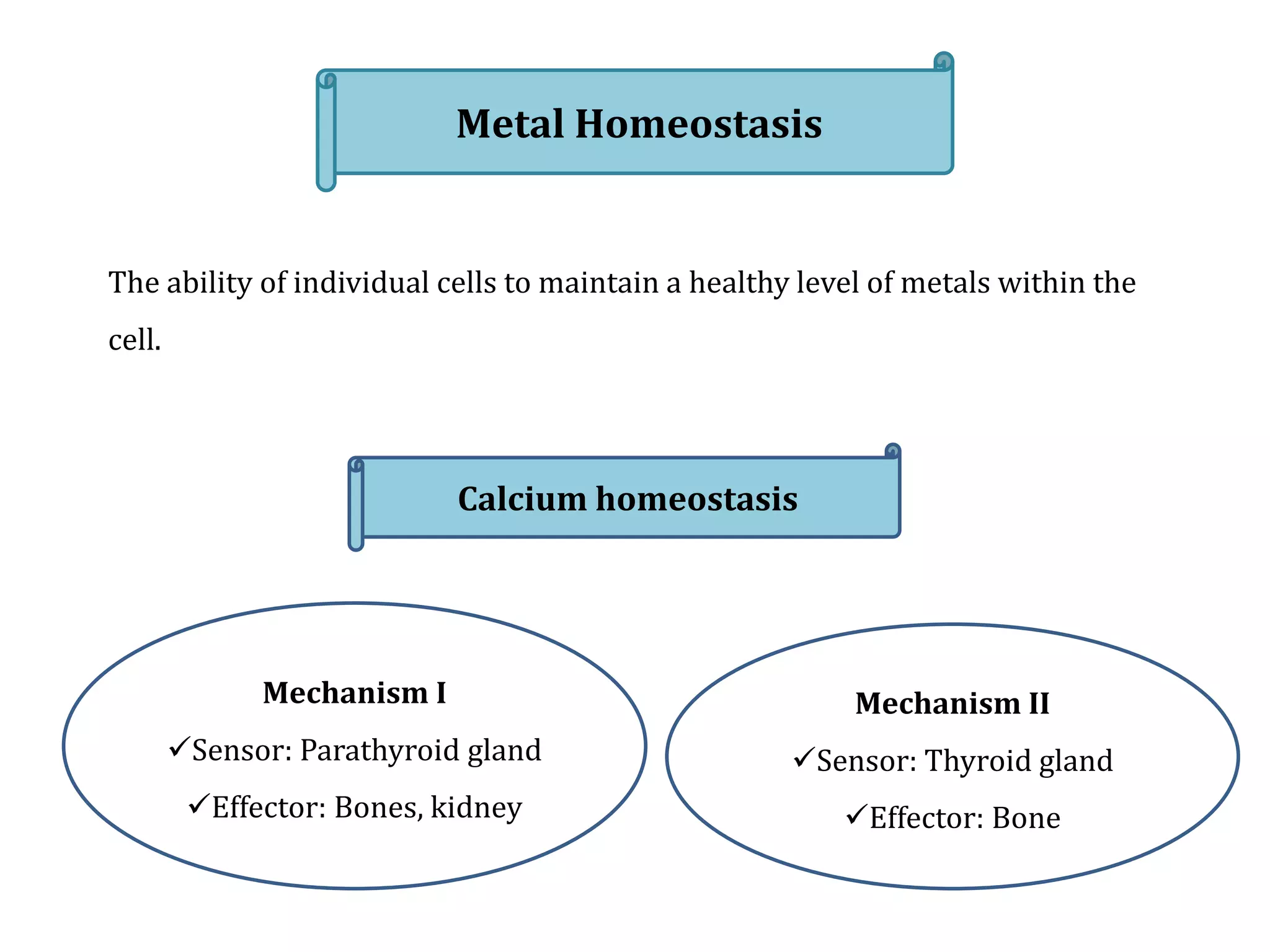 Homeostasis of Metals.pptx