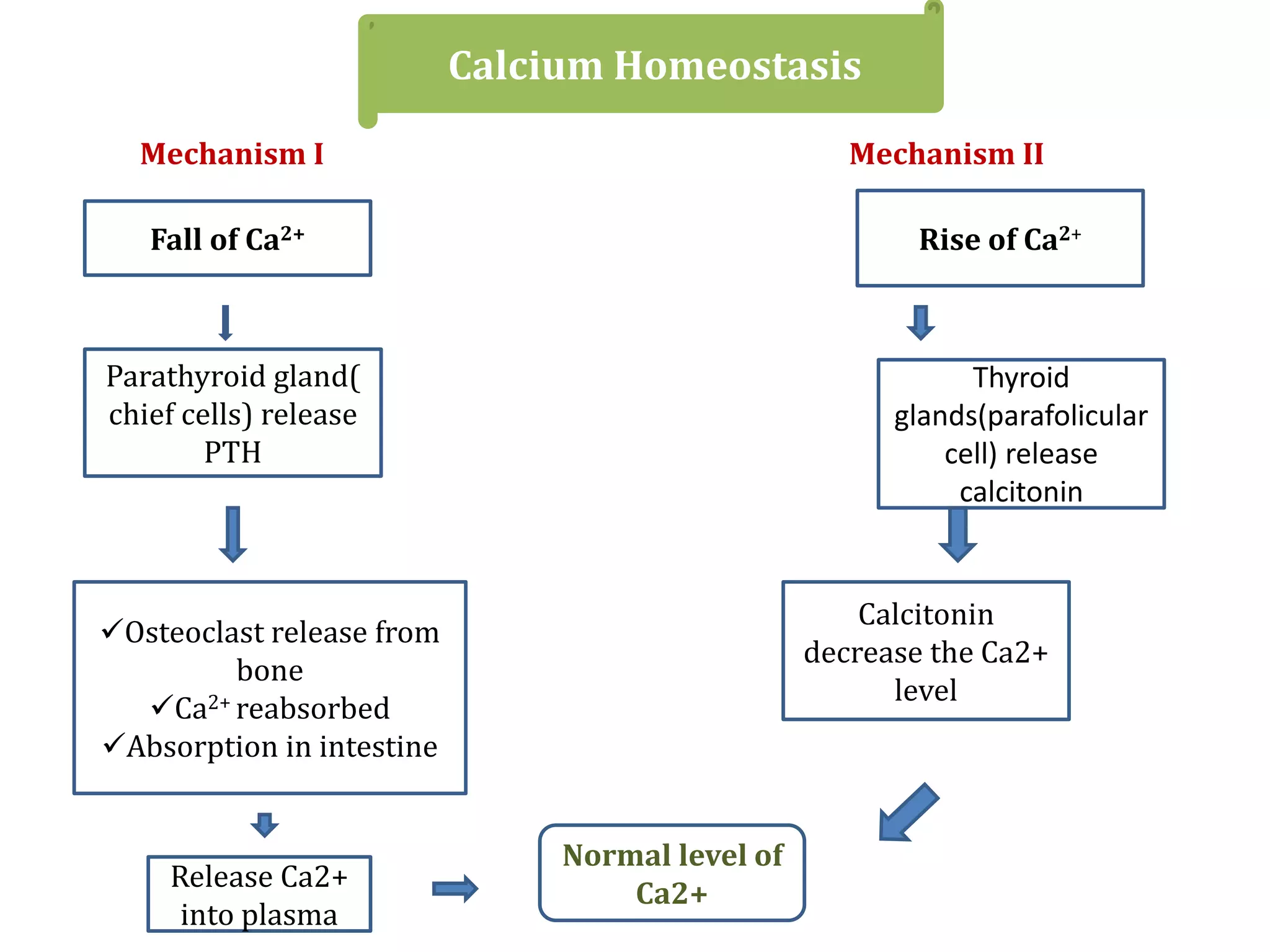 Homeostasis of Metals.pptx