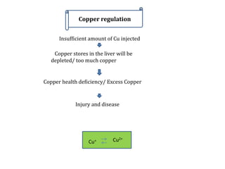 Homeostasis of Metals.pptx