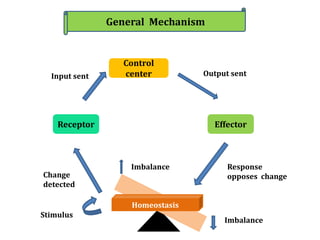 Homeostasis of Metals.pptx