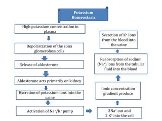 Homeostasis of Metals.pptx