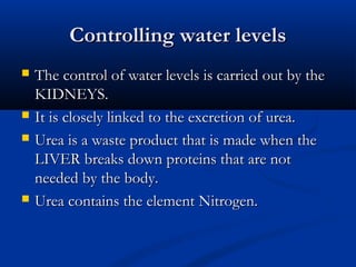 Homeostasis of the body | PPT