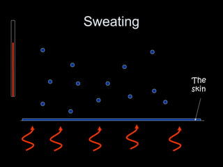 Homeostasis of the body | PPT