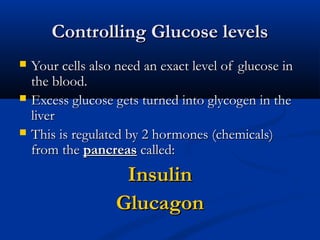 Homeostasis of the body | PPT