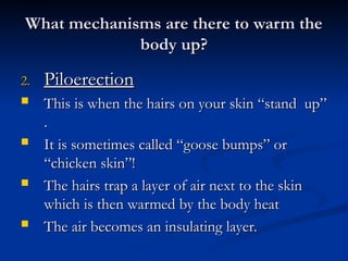 n.............................Homeostasis of the body.ppt