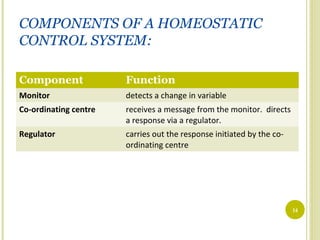 Homeostasis of the body | PPT