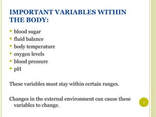 Homeostasis of the body | PPT