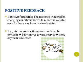 Homeostasis of the body | PPT