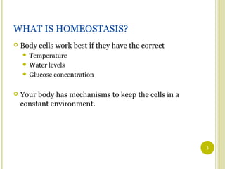 Homeostasis of the body | PPT