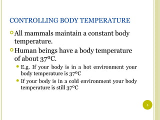 Homeostasis of the body | PPT