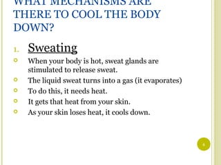 Homeostasis of the body | PPT