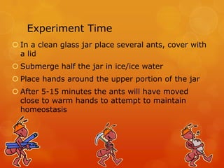 Homeostasis (part 1) | PPT