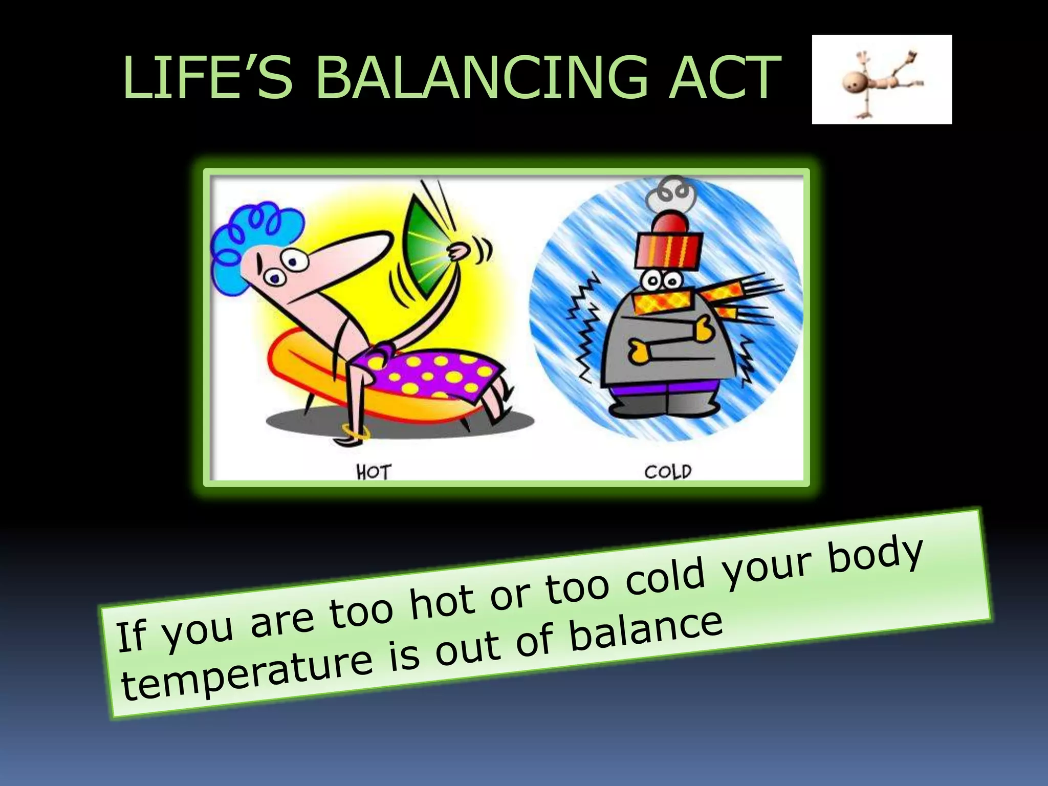 Homeostasis powerpoint | PPTX