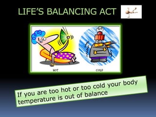 Homeostasis powerpoint | PPTX