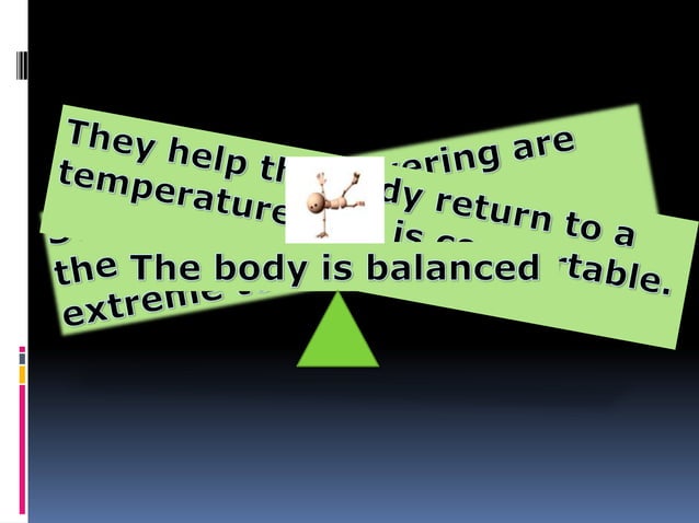 Homeostasis powerpoint | PPTX | Biological Sciences | Science