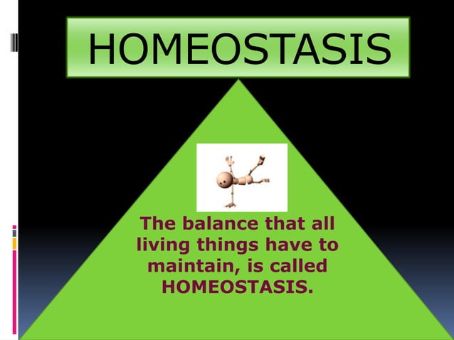 Homeostasis powerpoint | PPTX | Biological Sciences | Science
