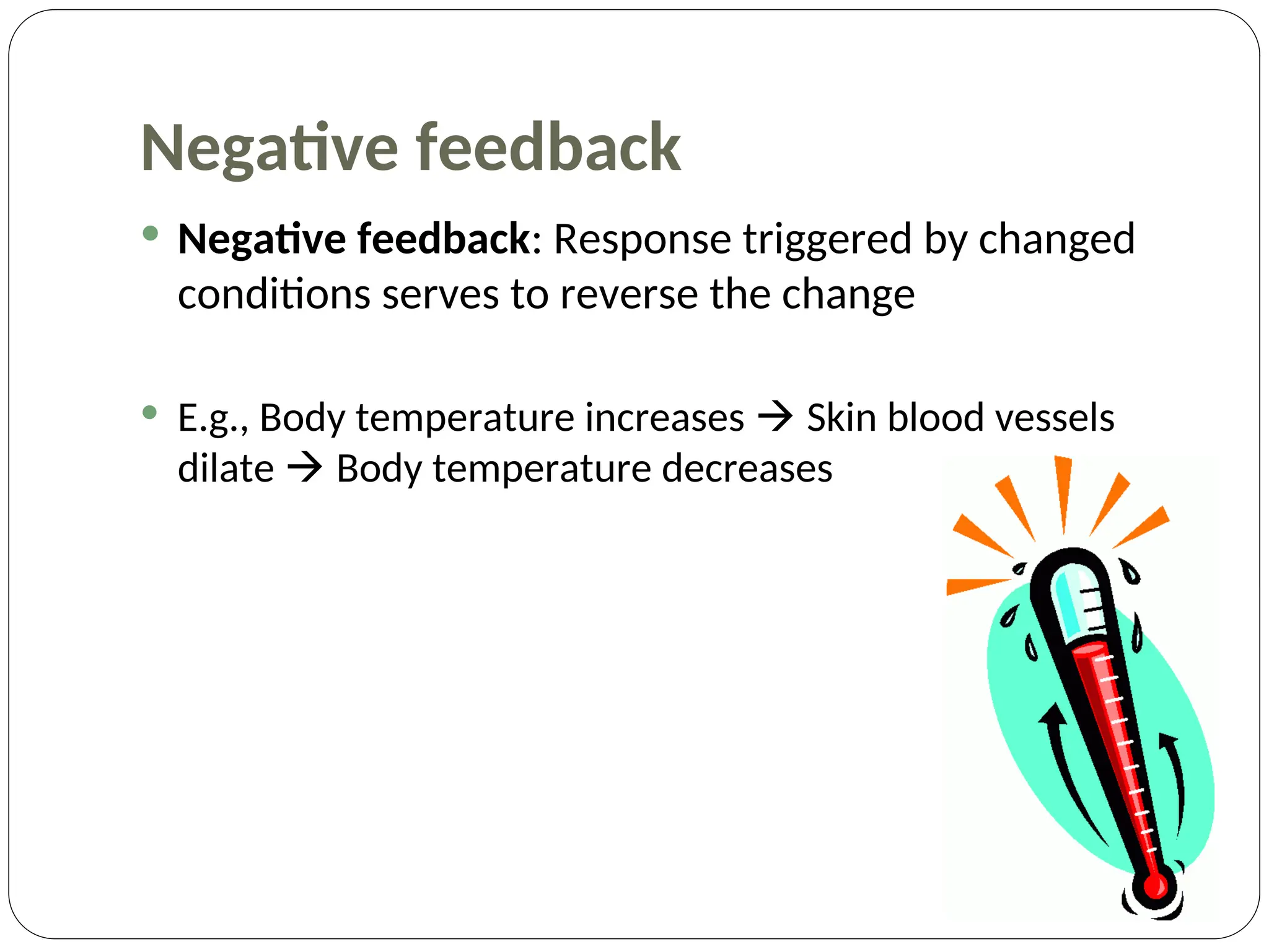 Homeostasis PPT humana anatomy and physiology | PPT