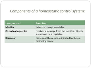 Homeostasis PPT humana anatomy and physiology | PPT | Endocrine and ...