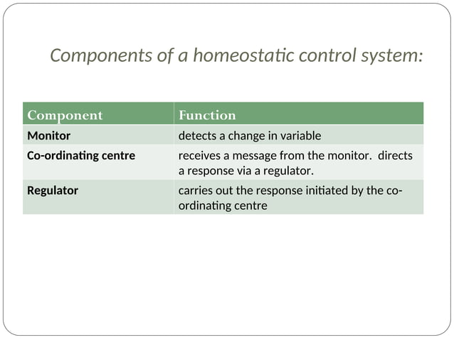 Homeostasis PPT humana anatomy and physiology | PPT