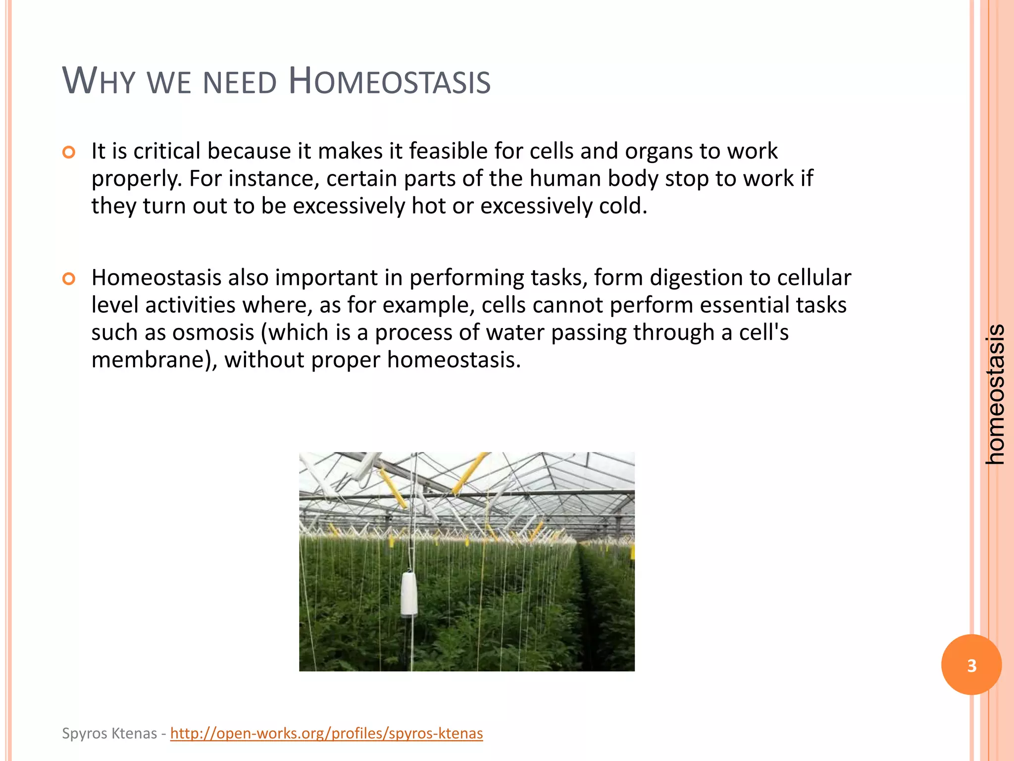 Homeostasis presentation | PPTX