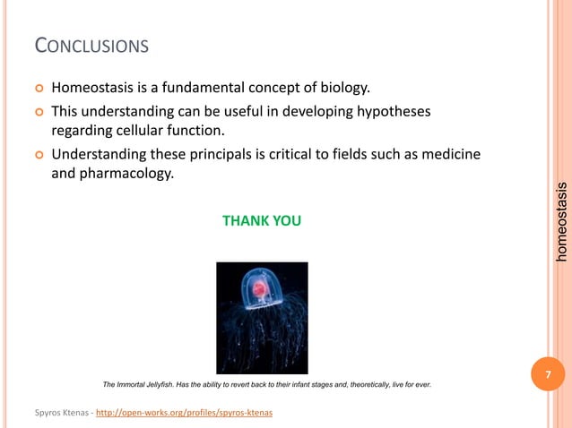 Homeostasis presentation | PPTX
