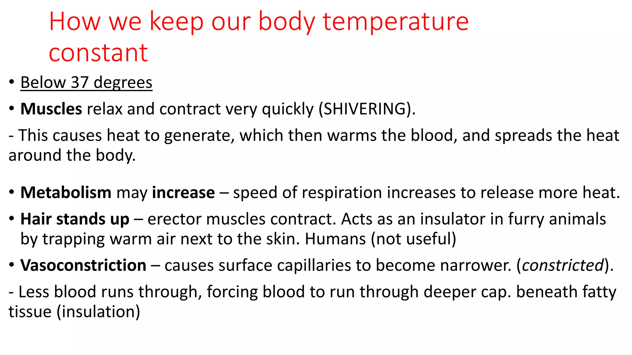 Homeostasis pt2 | PPTX