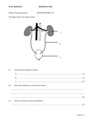 homeostasis questions.doc