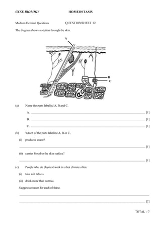 homeostasis questions.doc