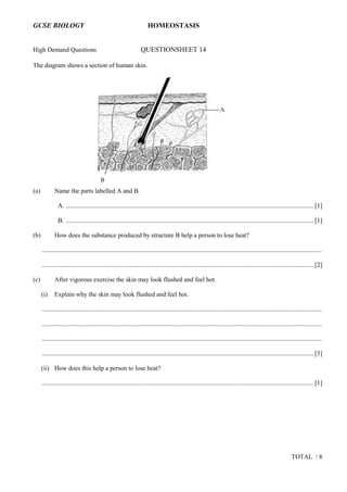 homeostasis questions.doc