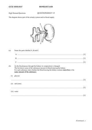 homeostasis questions.doc
