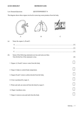 homeostasis questions.doc