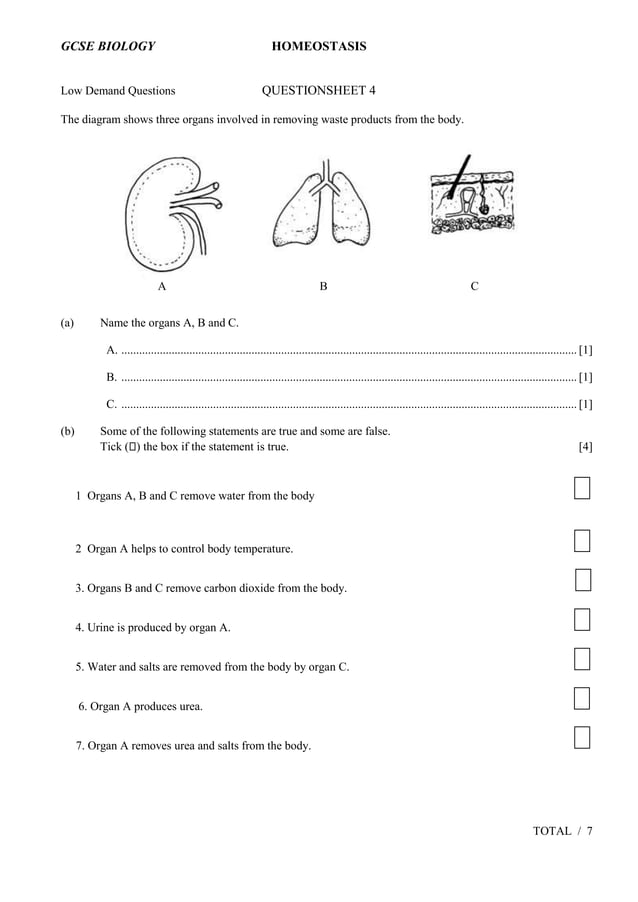 homeostasis questions.doc