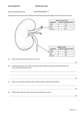 homeostasis questions.doc