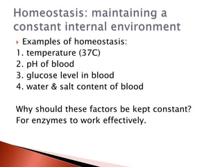 Homeostasis | PPTX
