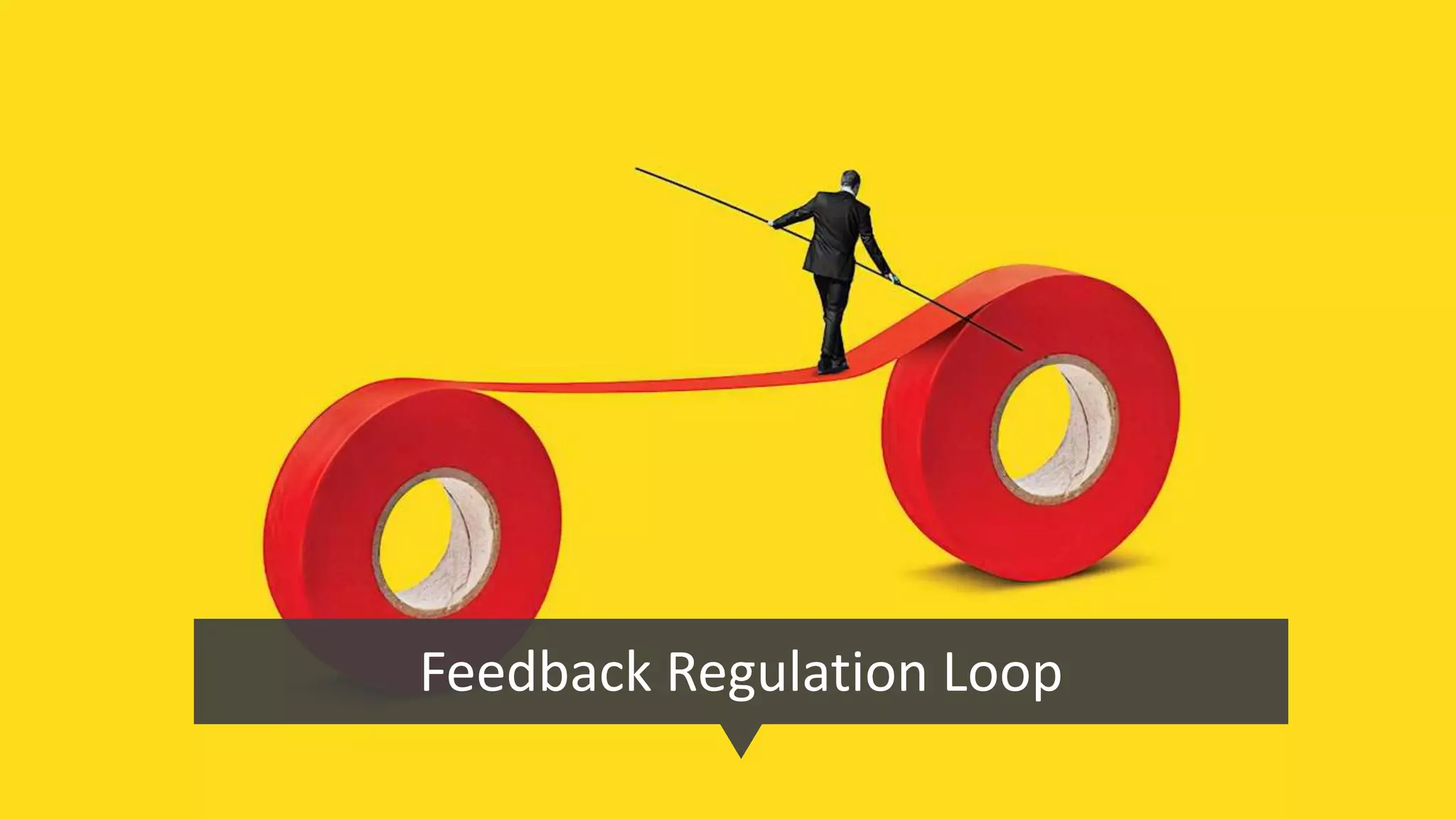 Homeostasis and Feedback Mechanism in Humans.pptx
