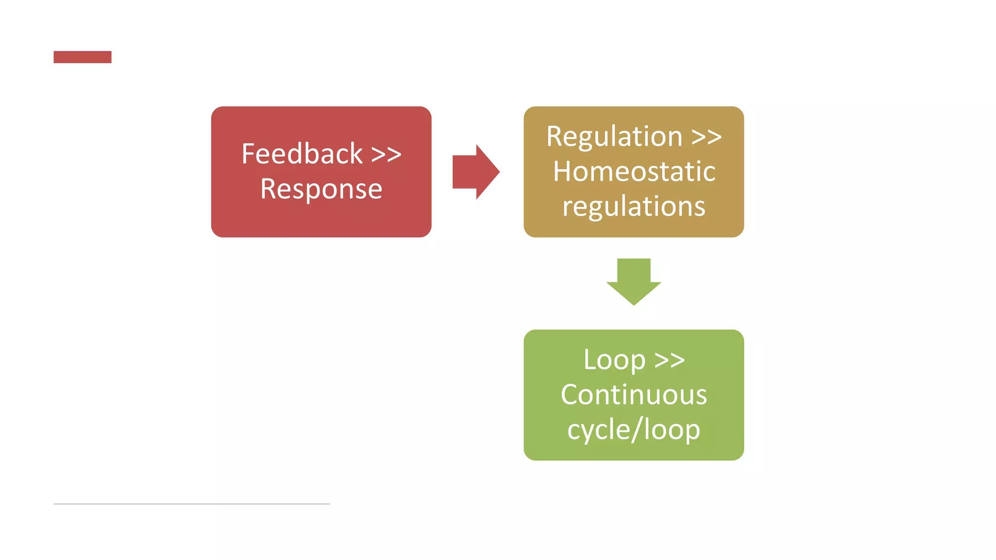Homeostasis and Feedback Mechanism in Humans.pptx