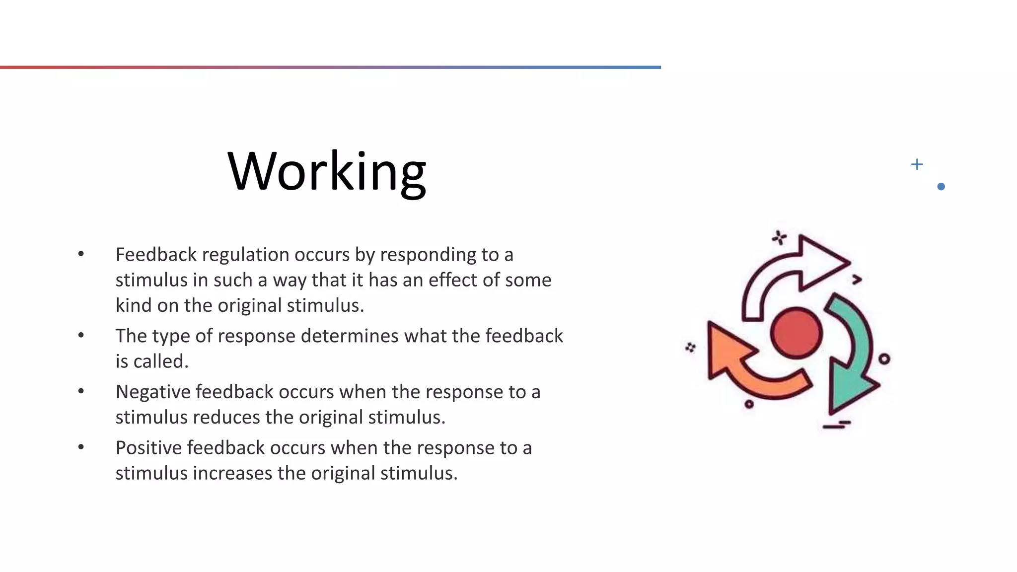 Homeostasis and Feedback Mechanism in Humans.pptx