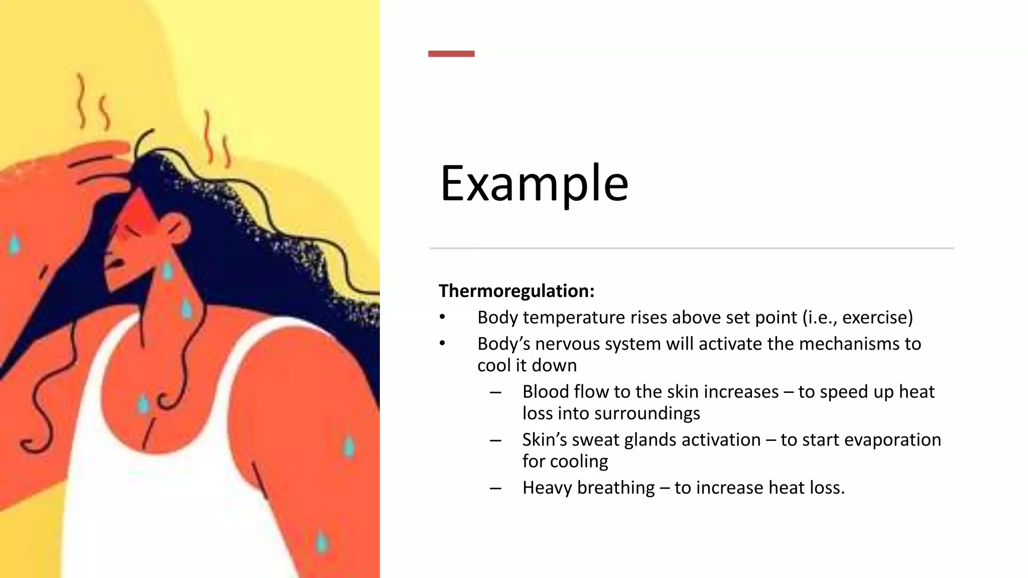 Homeostasis and Feedback Mechanism in Humans.pptx