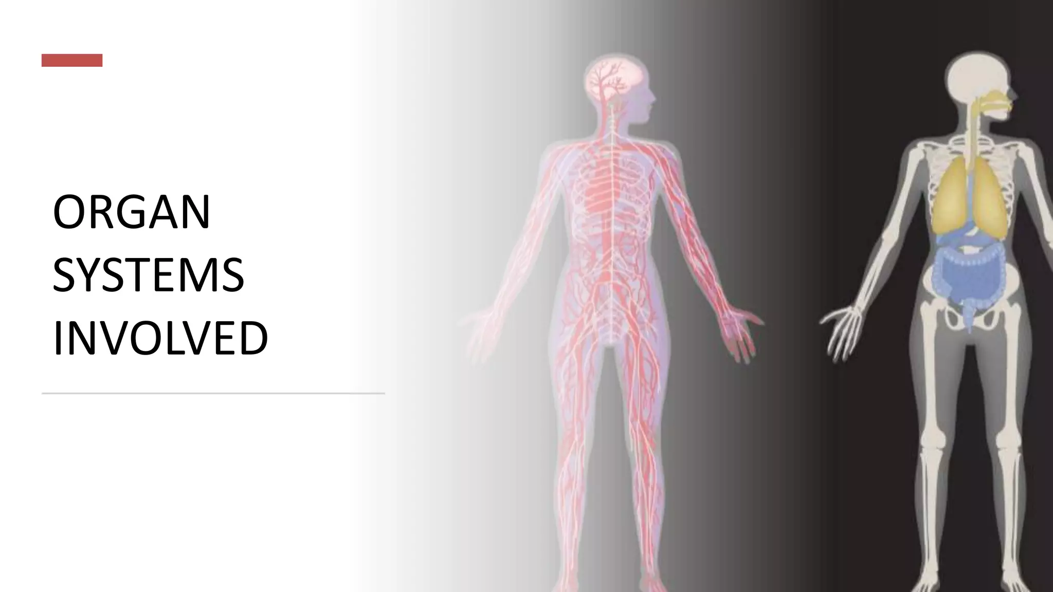 Homeostasis and Feedback Mechanism in Humans.pptx