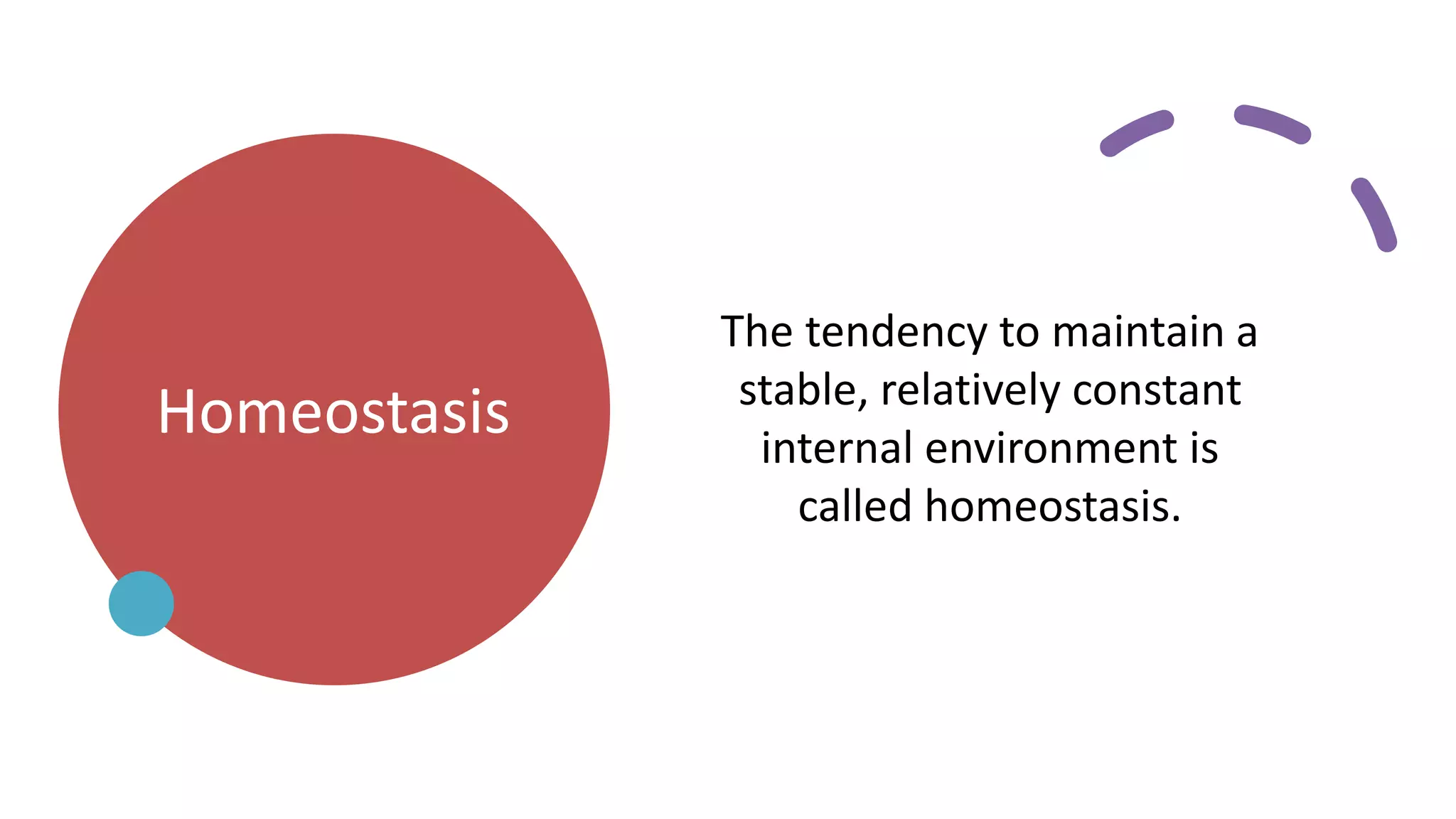 Homeostasis and Feedback Mechanism in Humans.pptx