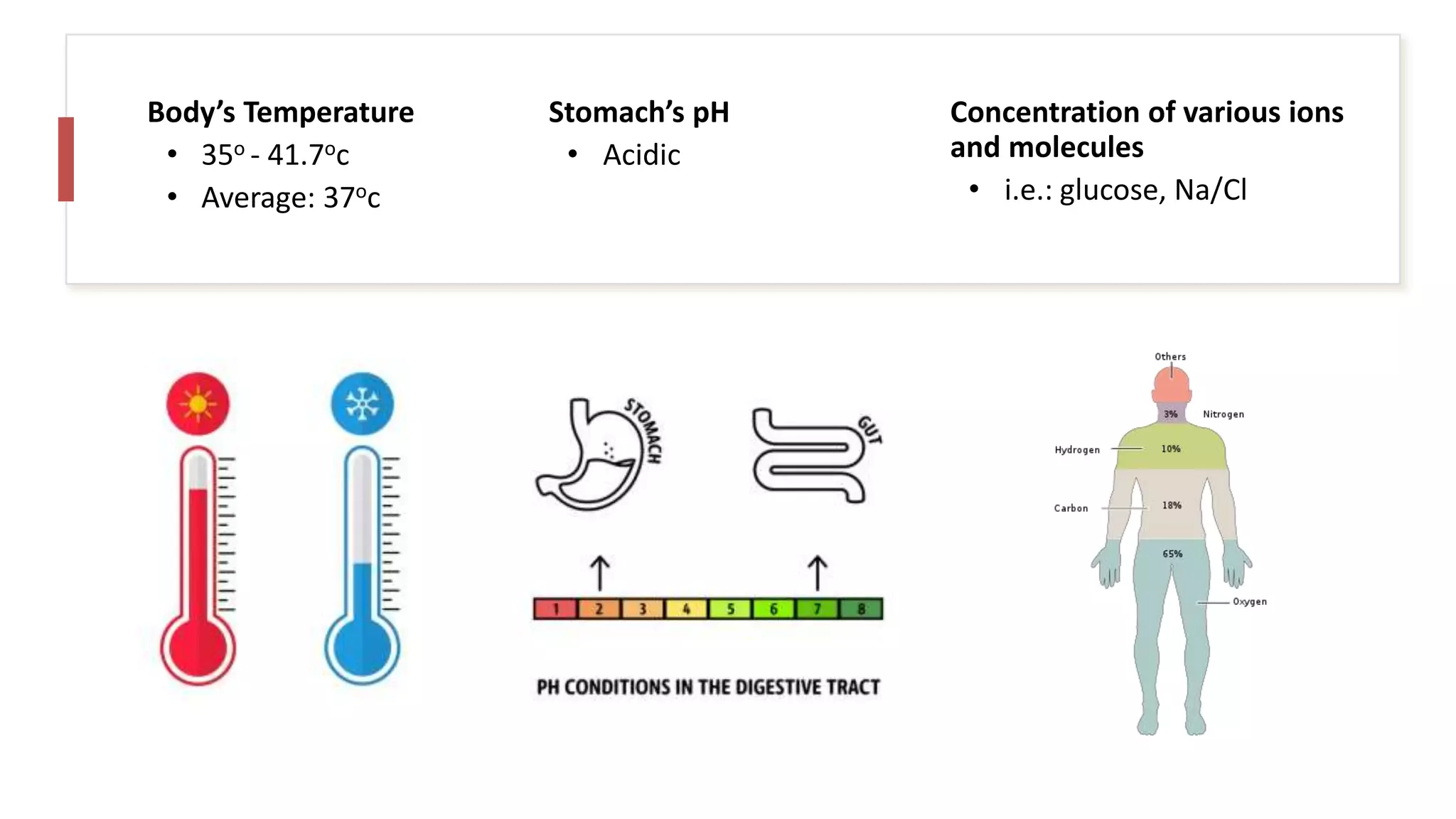 Homeostasis and Feedback Mechanism in Humans.pptx