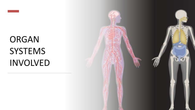 Homeostasis and Feedback Mechanism in Humans.pptx