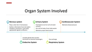 Homeostasis and Feedback Mechanism in Humans.pptx