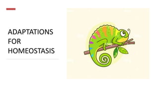 Homeostasis and Feedback Mechanism in Humans.pptx