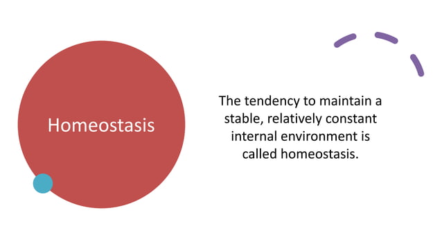 Homeostasis and Feedback Mechanism in Humans.pptx