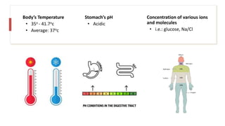 Homeostasis and Feedback Mechanism in Humans.pptx