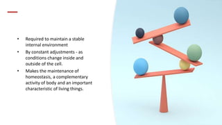 Homeostasis and Feedback Mechanism in Humans.pptx